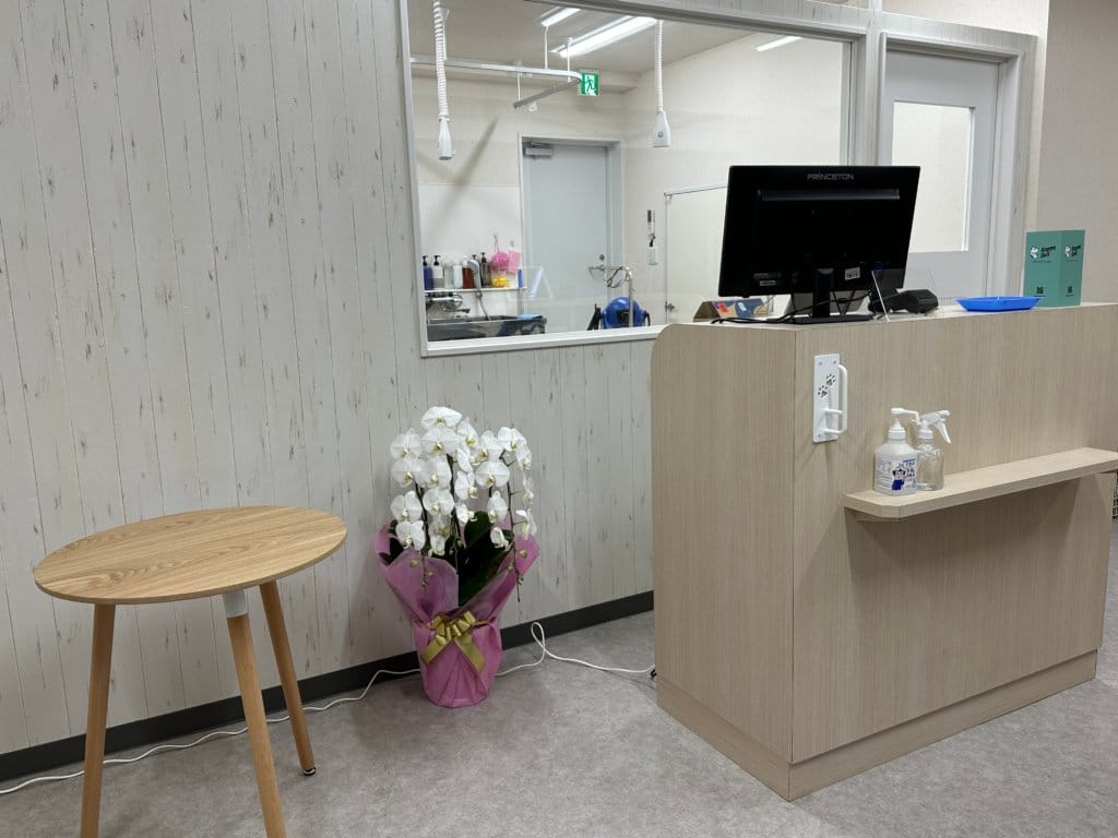 ハッピーベル成増店オープンいたしました | HAPPY BELL（ハッピーベル）– 千葉県を中心に展開するペットショップ