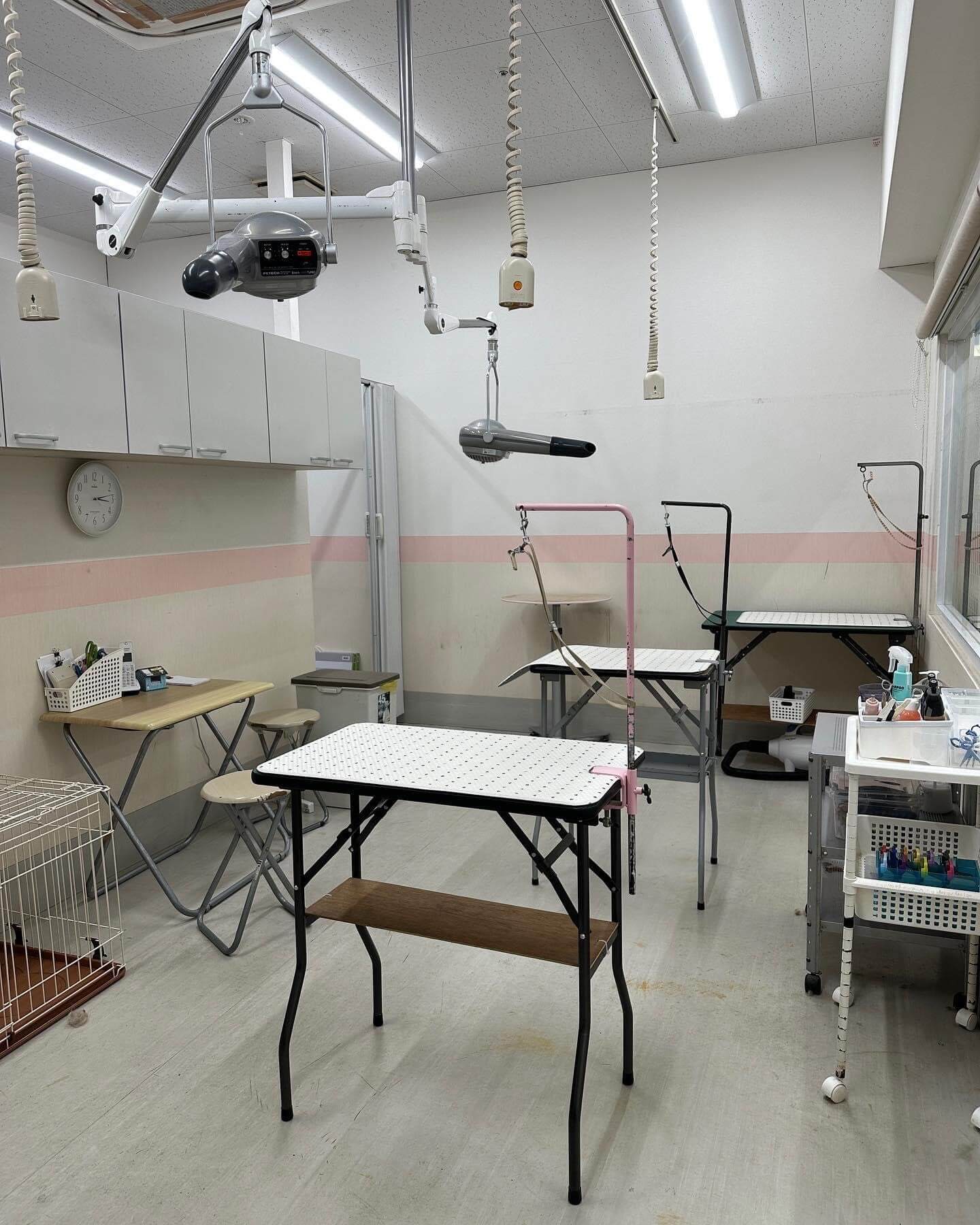 ハッピーベル与野店、川口店がオープンいたしました | HAPPY BELL（ハッピーベル）– 千葉県を中心に展開するペットショップ